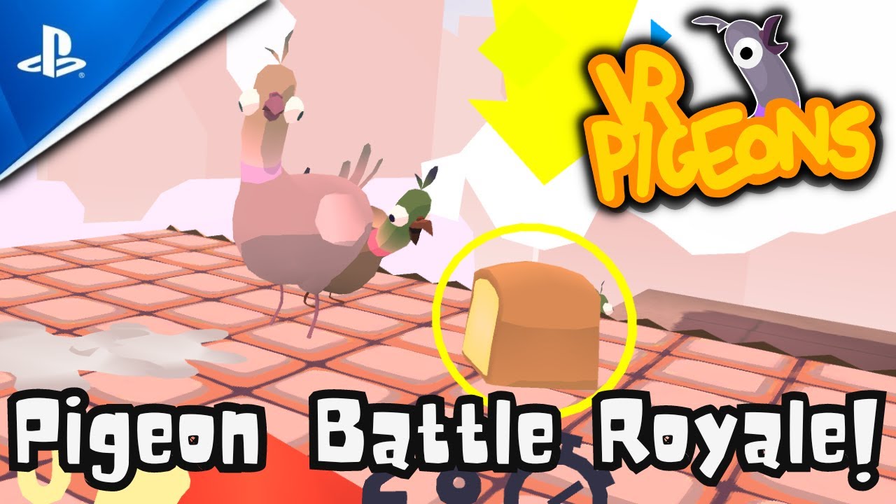 VR Pigeons PSVR2 - Pigeon Battle Royale - YouTube