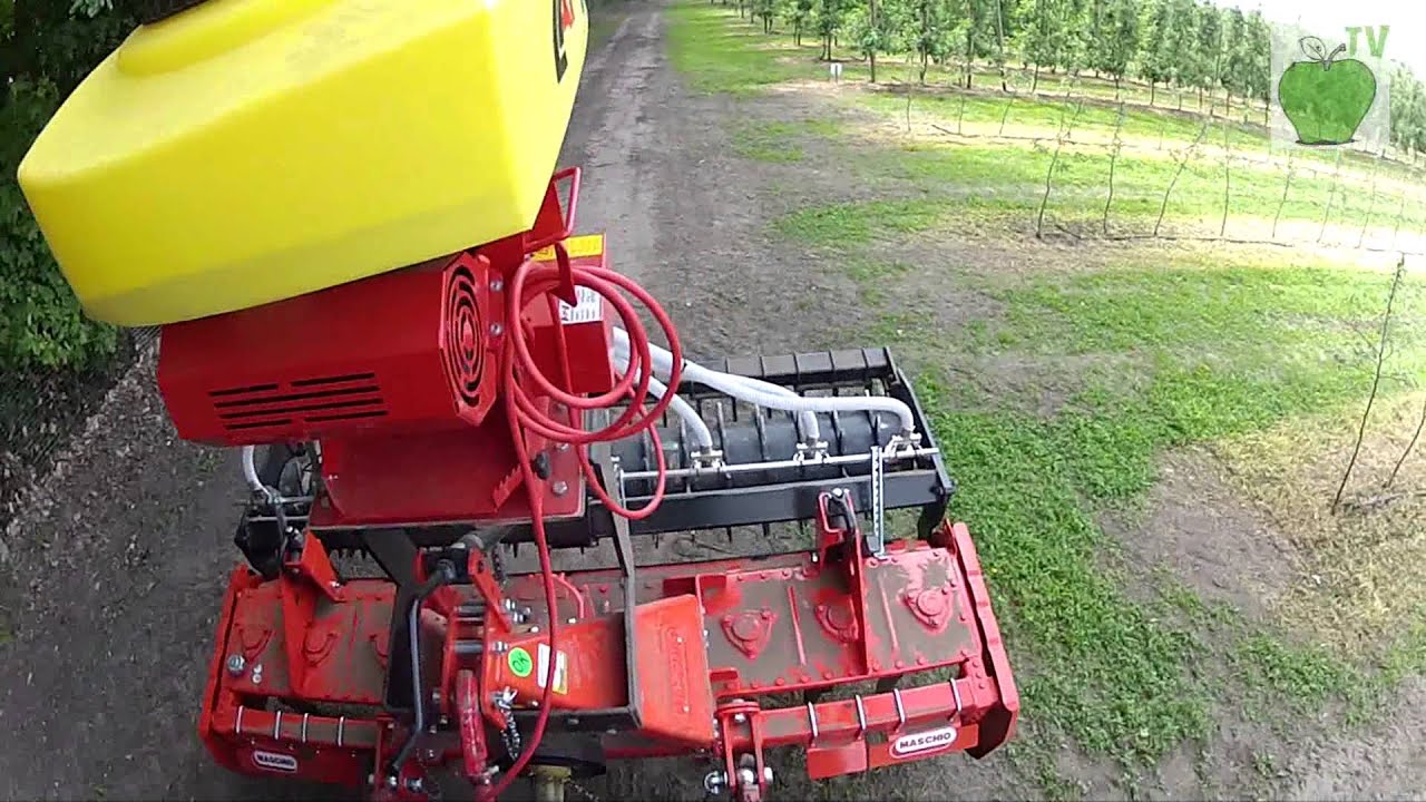 Siew gorczycy 2012 - Maschio DL 2300 + APV PS 120 M1 (Sowing of mustard ...