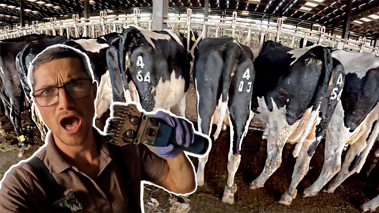 I Gave 300+ Haircuts In One Afternoon! | JM Farming | The Content Farm