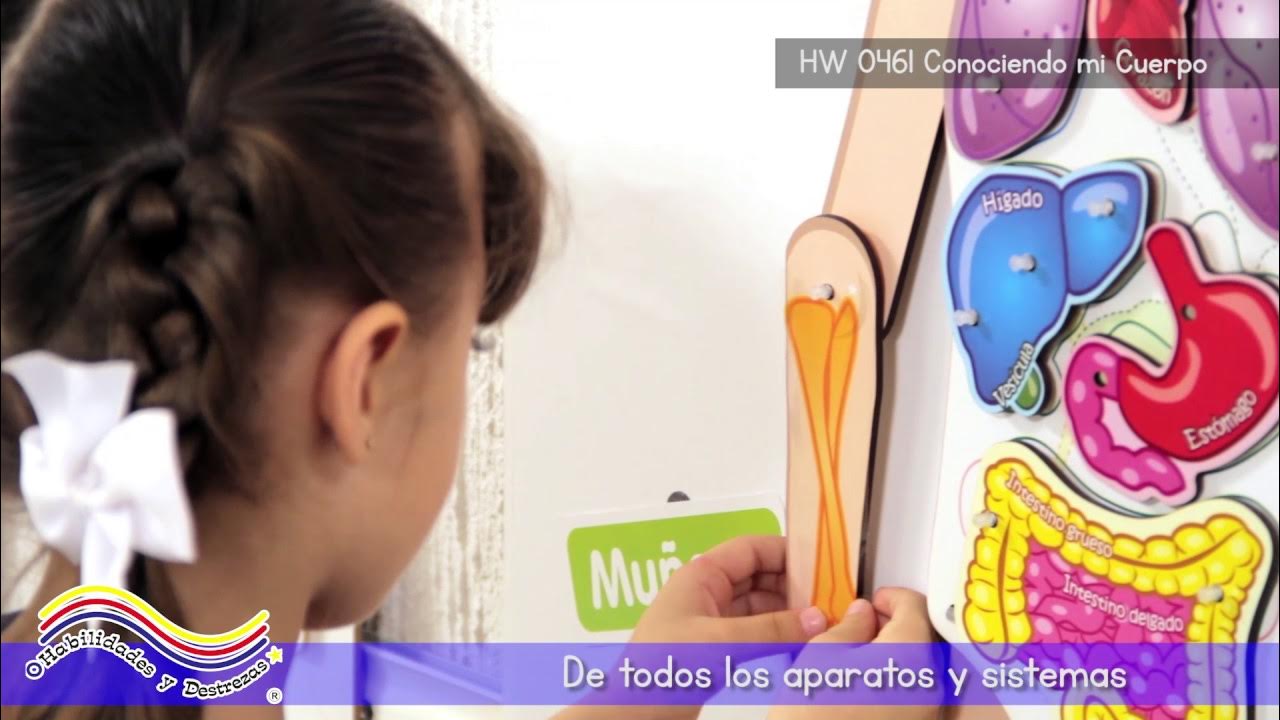 Conociendo mi Cuerpo - Material Didáctico para Preescolar - YouTube
