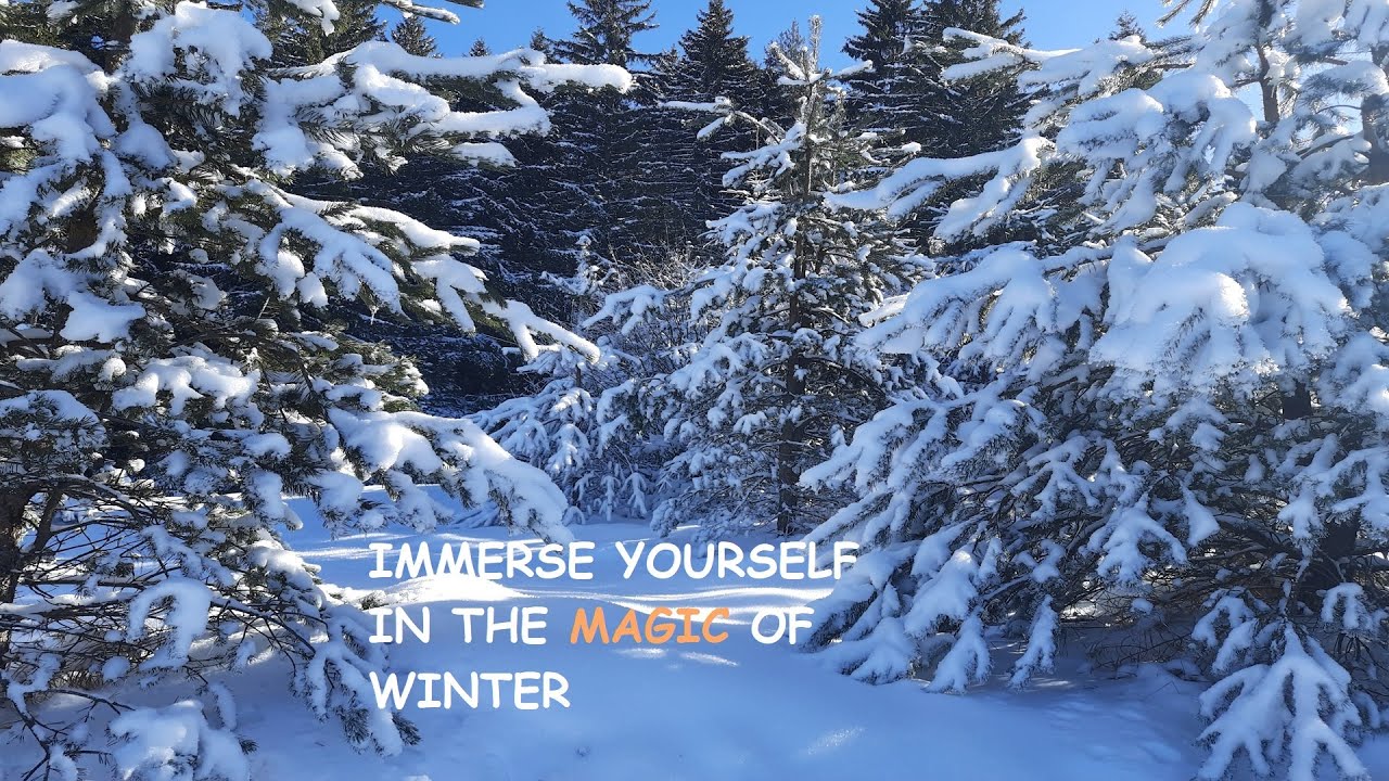 ASMR. The charm of snow: enjoy the symphony of relaxation in the snow ...