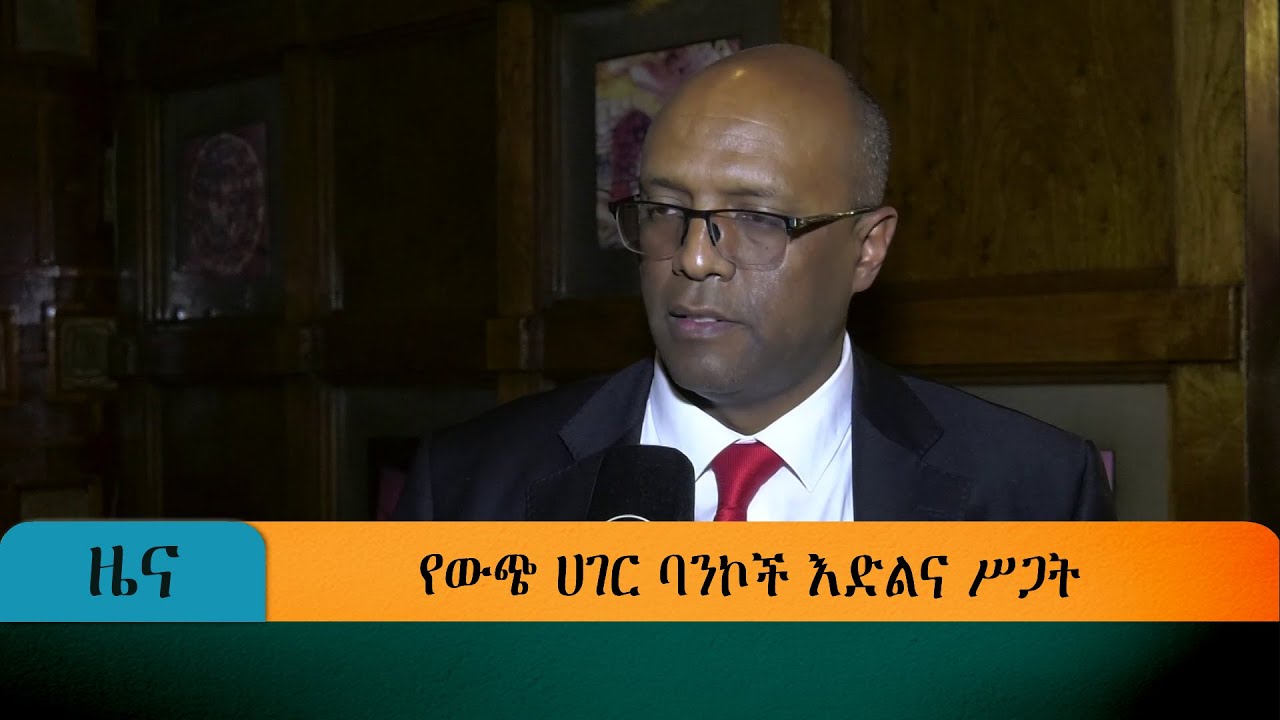 የውጭ ሀገር ባንኮች እድልና ሥጋት Youtube