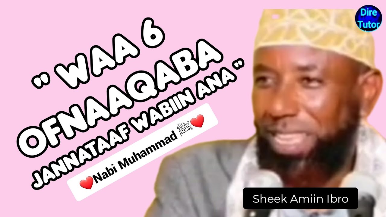 Shek Amin Ibro : Dhaamsa Dhibbaa Umuu, Safu, Kaajaa, Haqa, Kijiba.#waa6 ...