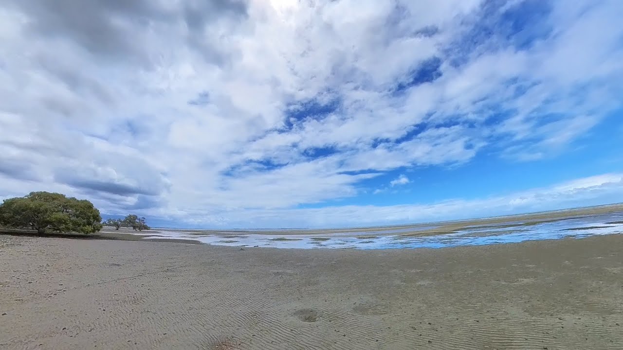 I Found a Hidden Gem in Australia (Nudgee Beach Exploration) - YouTube