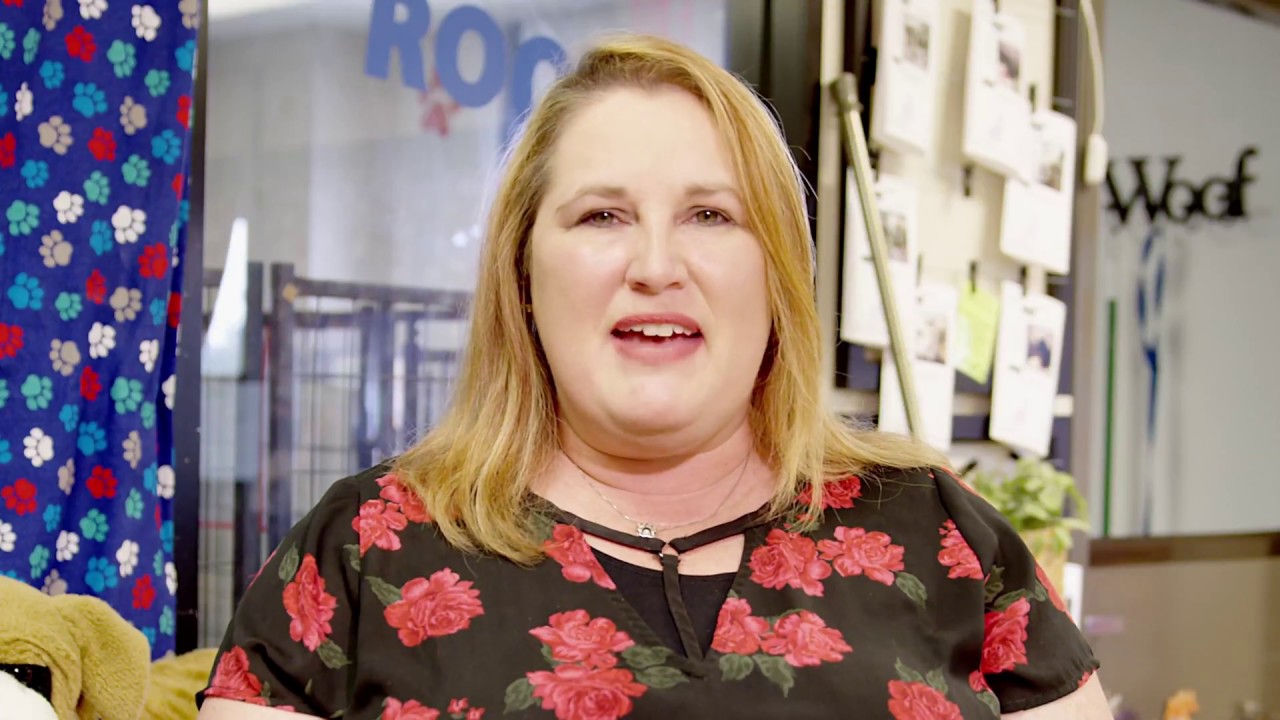 Meet Our Animal Advisory Board- Susan - YouTube