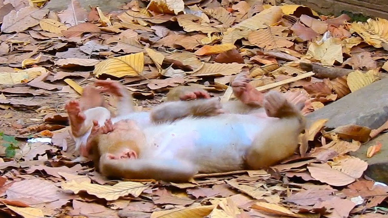 Oh god best sleeping baby Leo while he lay on earth - YouTube