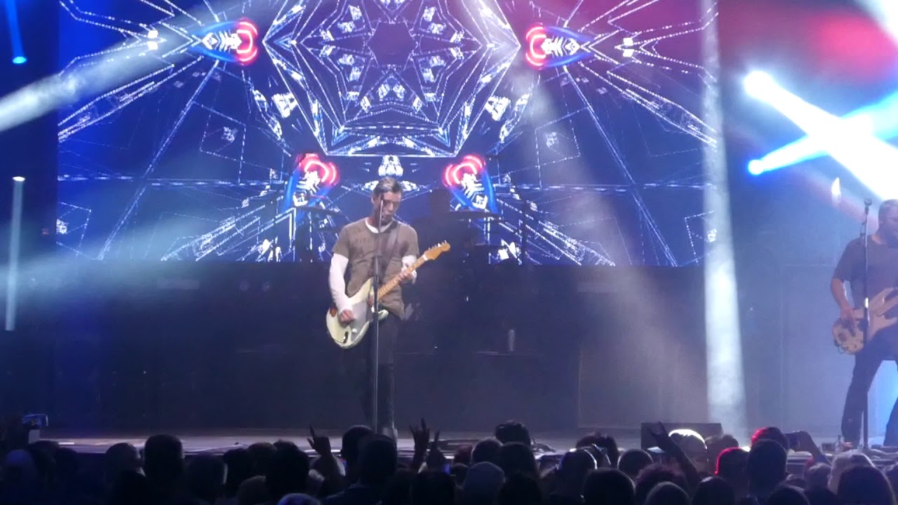 Bush-Greedy Fly - YouTube