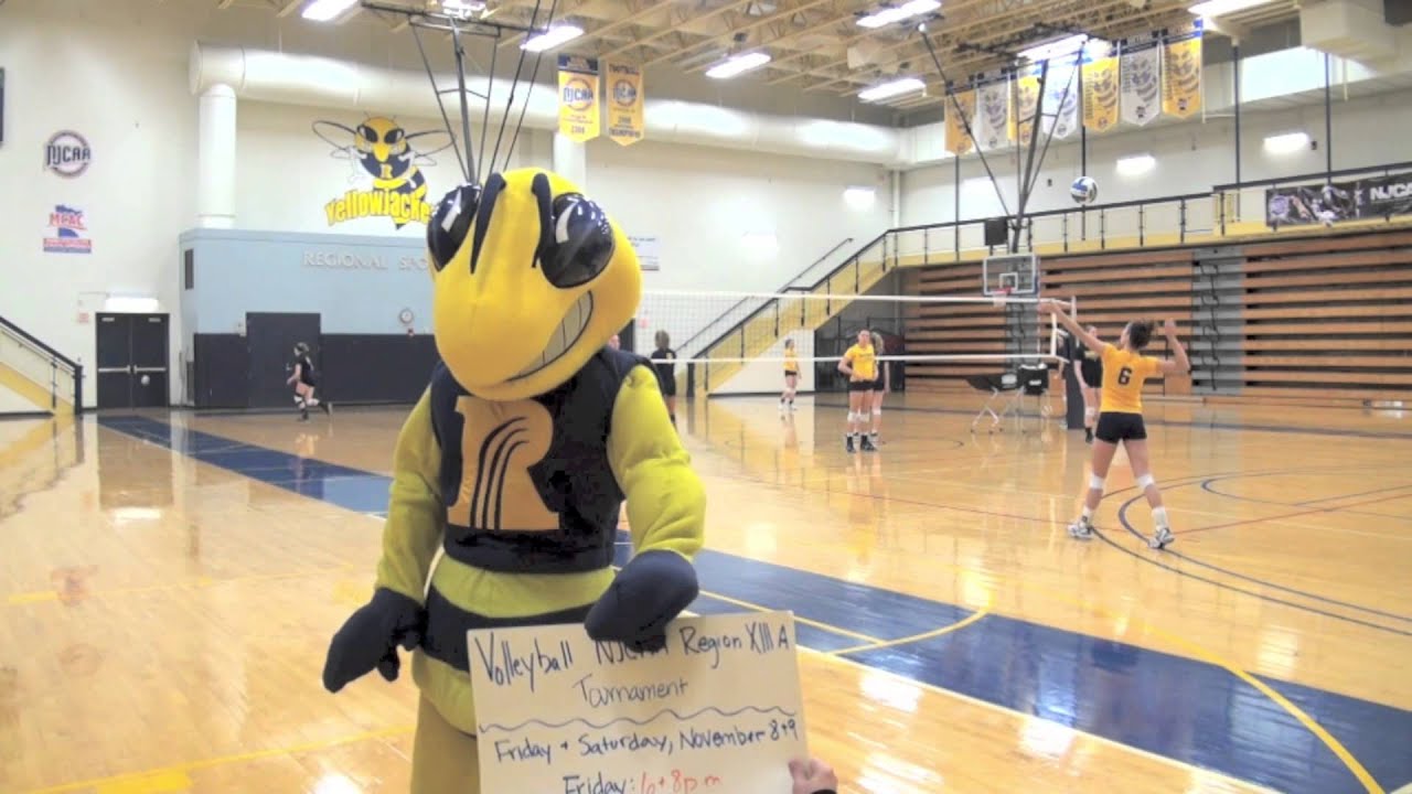 Sting gets ready for the RCTC Yellowjacket Volleyball and Football ...