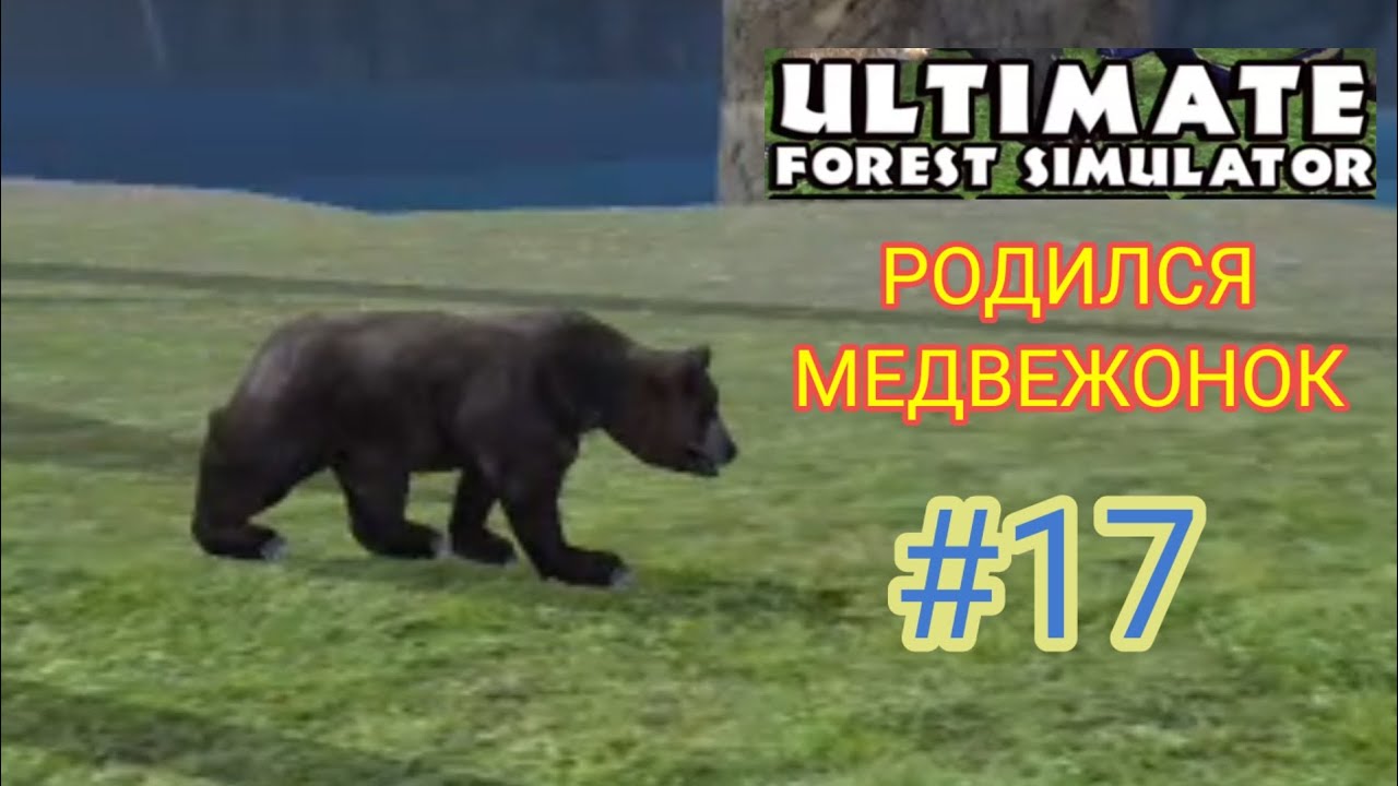 Ultimate Forest Simulator Родился медвежонок Эпизод 17 - YouTube