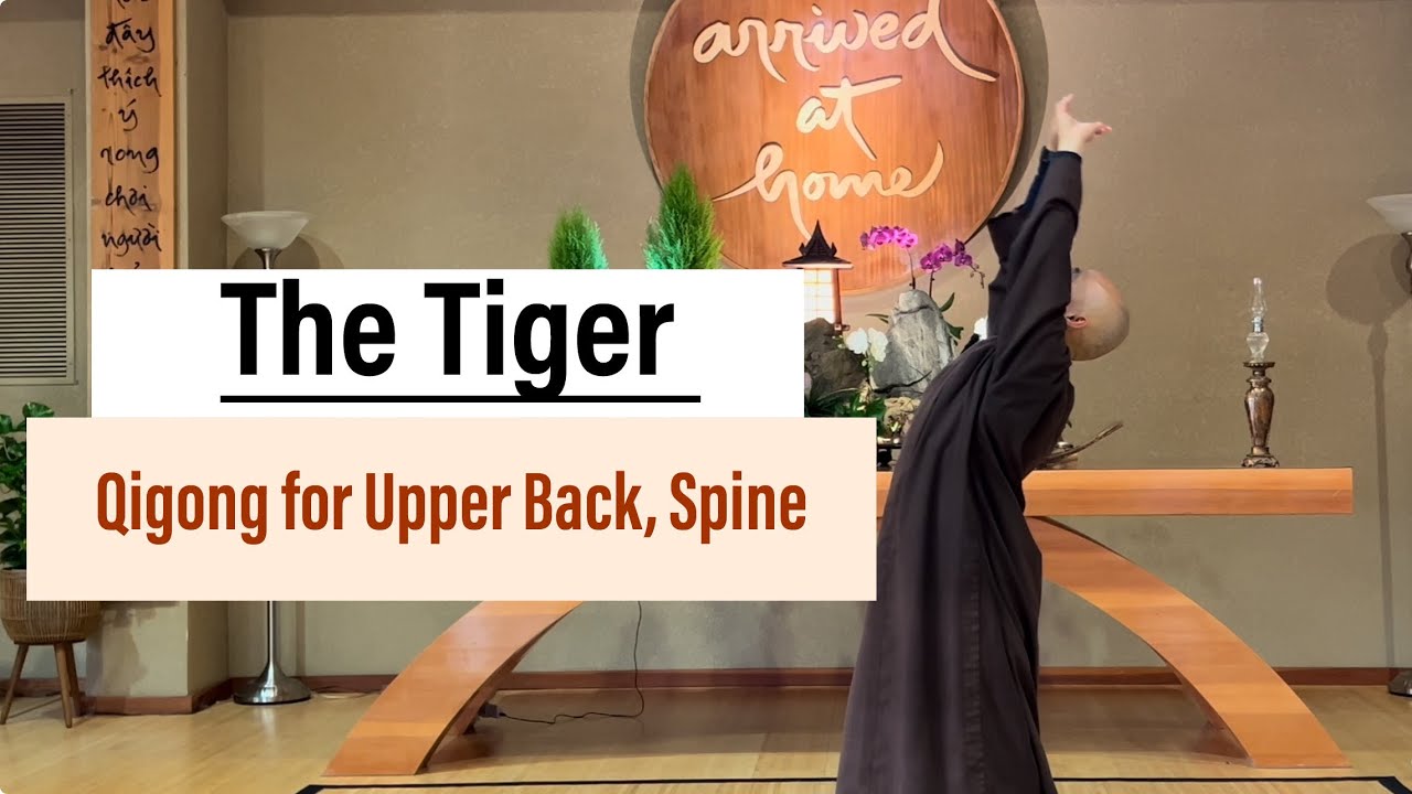 The Tiger | 5-Minute Qigong Stretching Upper Back, and Spine - YouTube