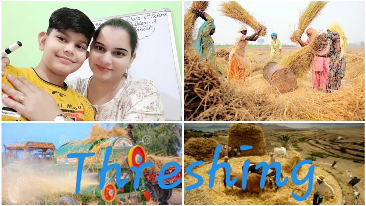 Science class 6th chapter 3 (6) Separation of Substances (Threshing ...