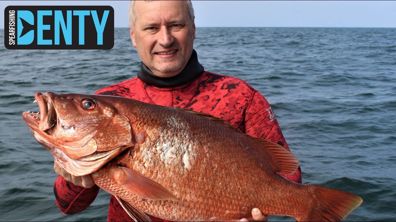 Chasse sous-marine profonde au Sénégal pour Badéche et Carpe rouge ...