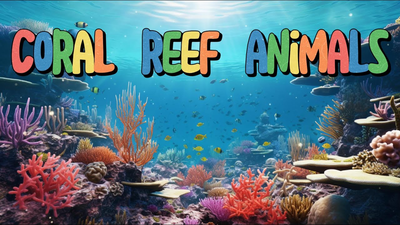 Coral Reef Animals for Kids | Children's Vocabulary | English ...