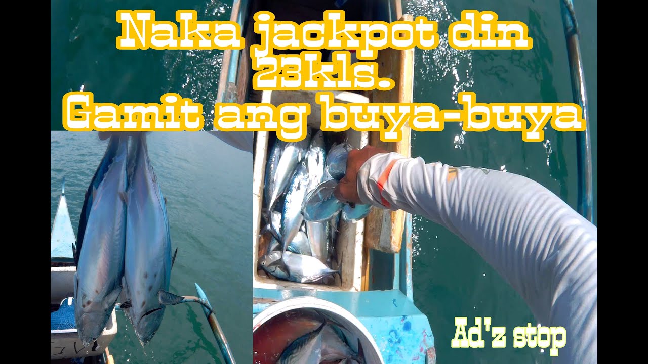 TRADITIONAL HANDLINE CATCHING BLUEFIN TUNA USING BUYA2x/STYRO FOAM ...