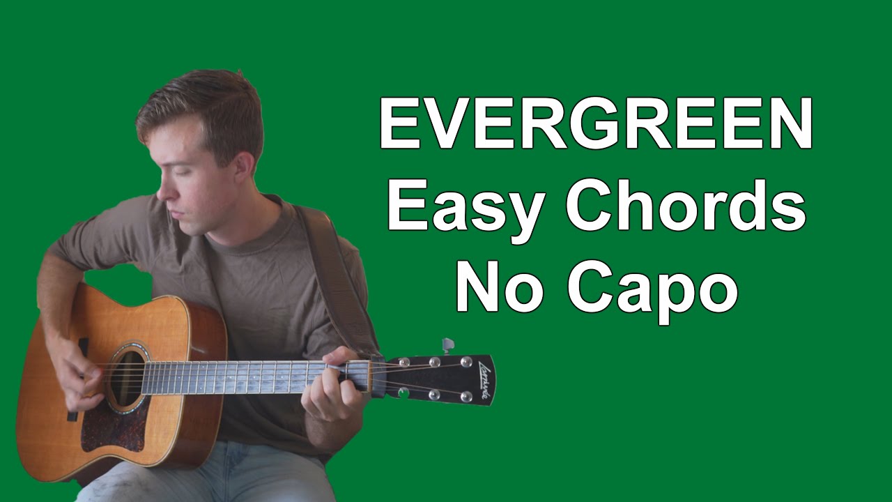 How to Play EVERGREEN - Richy Mitch & The Coal Miners on Guitar | NO ...