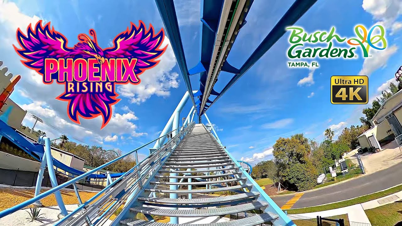 Phoenix Rising Roller Coaster On Ride Front Seat 4K POV Busch Gardens ...