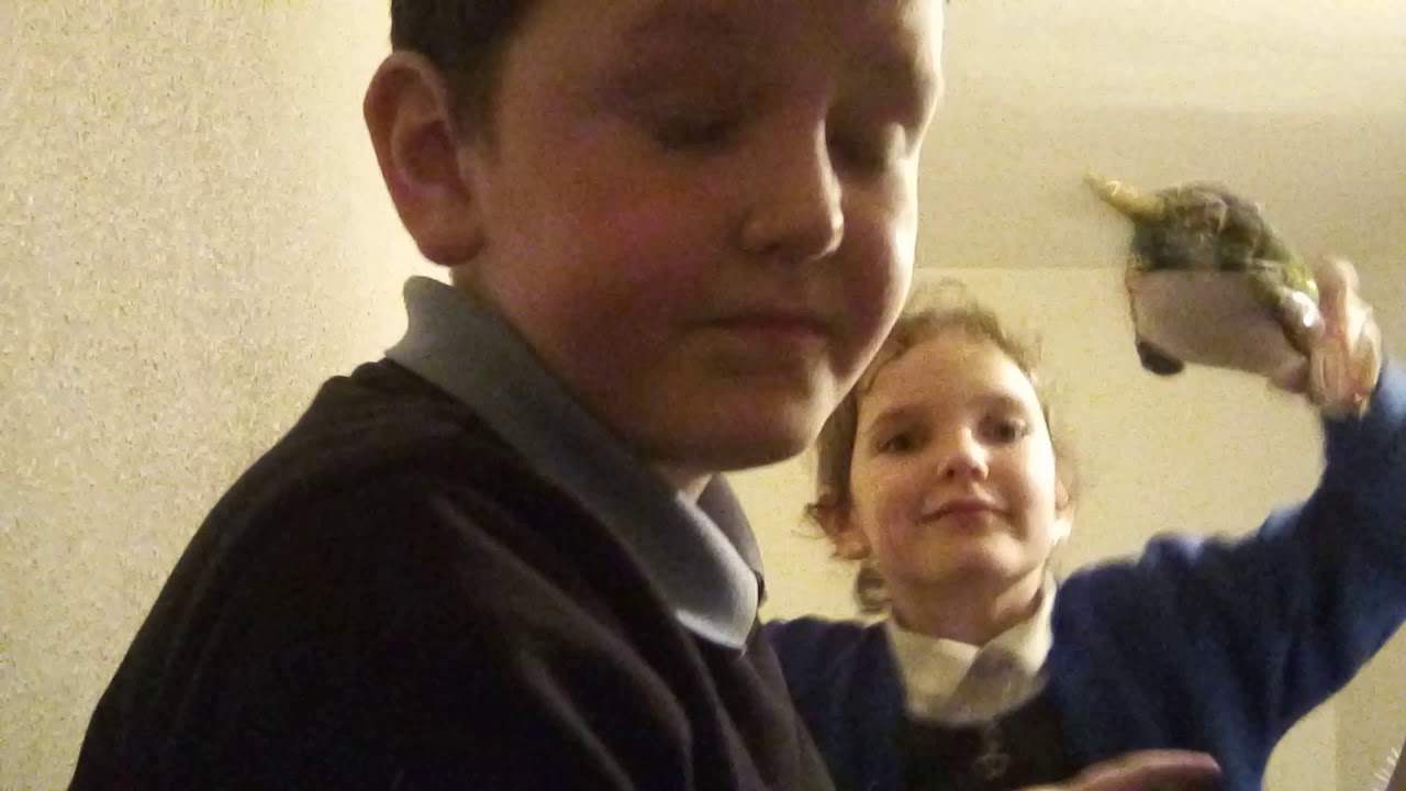 number blocks in real life S1 E1 super cool rectangle is 24 - YouTube
