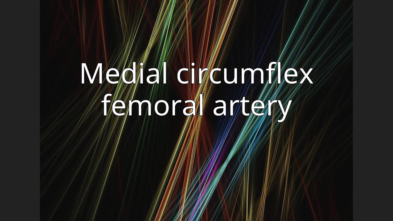 Medial circumflex femoral artery - YouTube