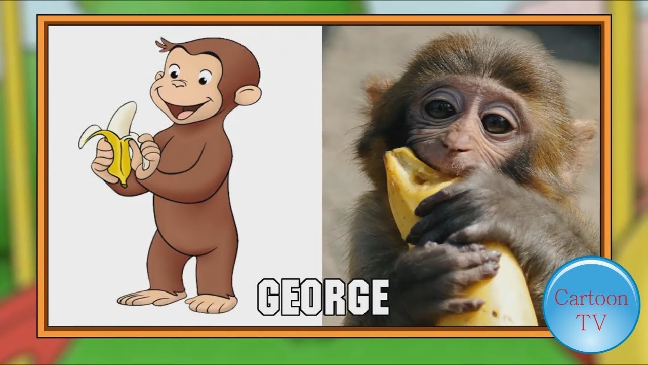 Curious George Characters In Real Life - YouTube
