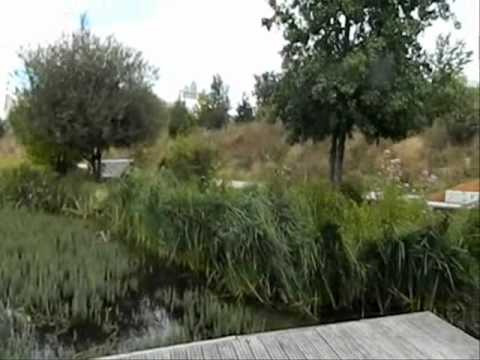 PARC DU CHEMIN DE L'ILE de Nanterre - YouTube