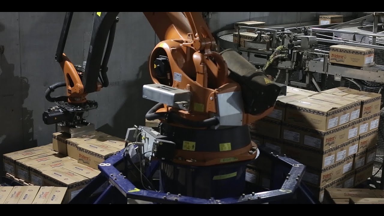 BW Integrated Systems' Leading the Way in Robotic Integration - YouTube