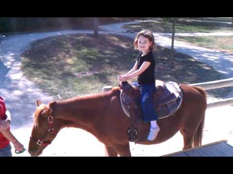 Pony rides - YouTube