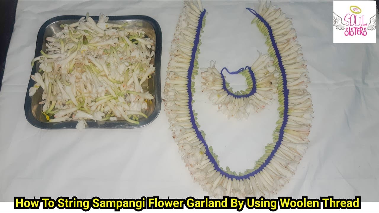 How to string Sampangi flower garland-in tamil-using woolen thread ...