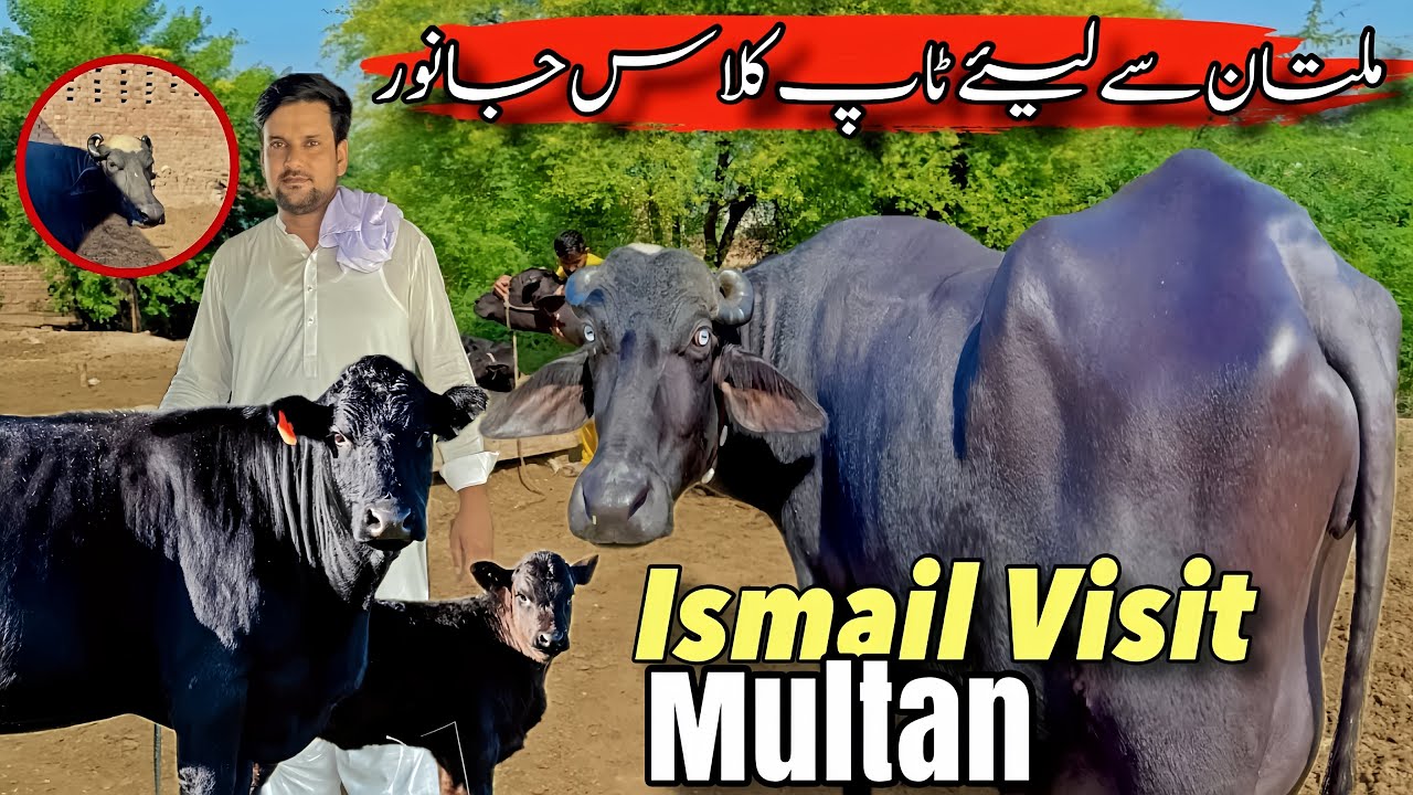 Ismail jutt Visit Multan - YouTube
