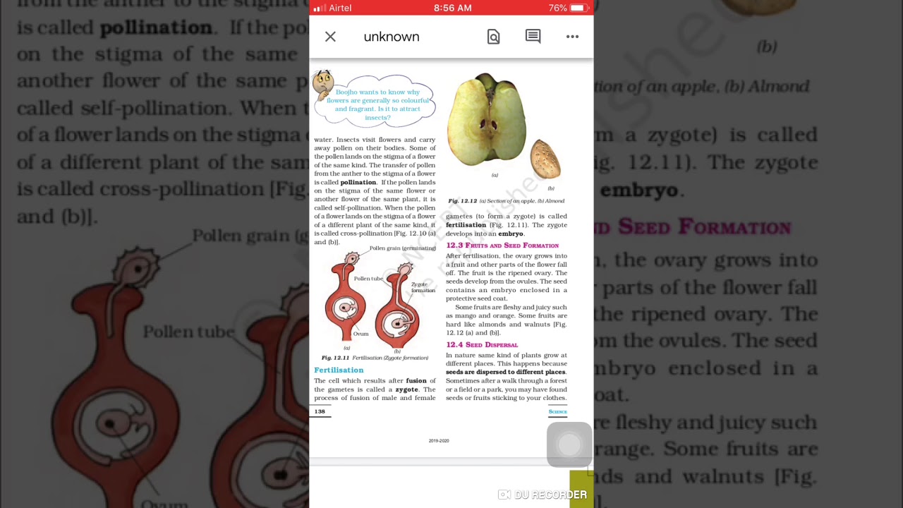 Part 2 Reproduction In Plants Class 7th Gen Science - YouTube