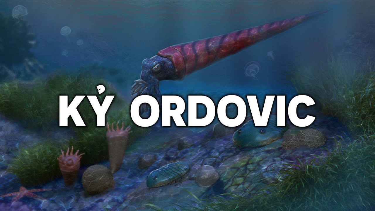KỶ ORDOVIC - Trên cạn bắt đầu có sự sống | MÁY THỜI GIAN - YouTube