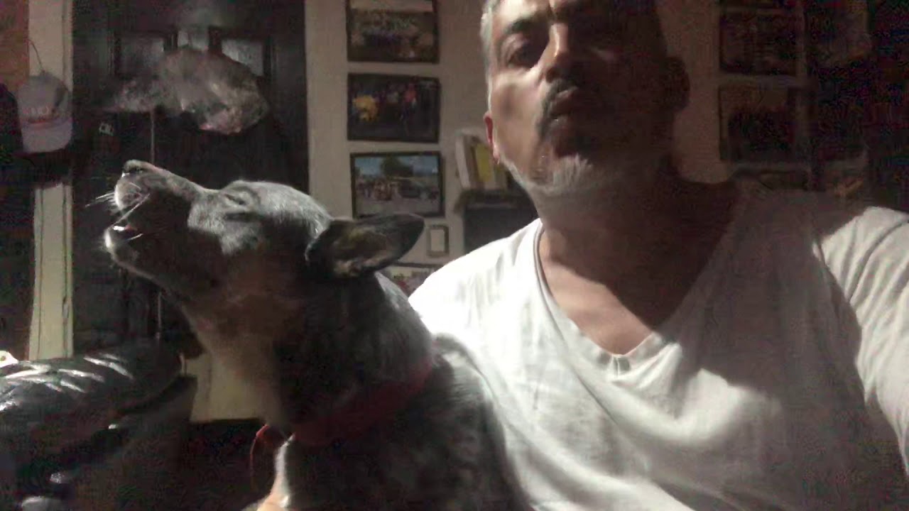 Max y yo escuchando a Cerati - YouTube