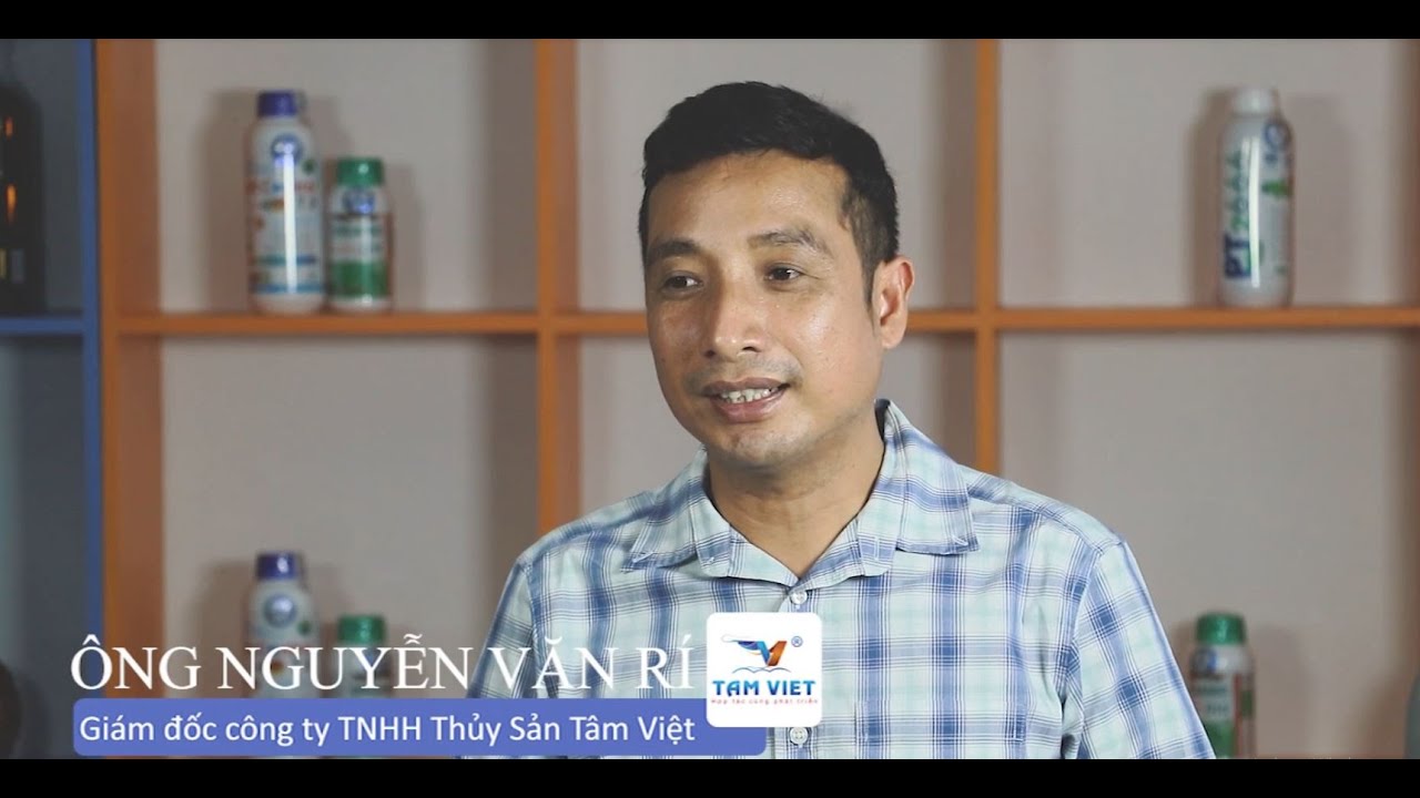 THVL | TÂM VIỆT | NUÔI TÔM AN TOÀN SINH HỌC - YouTube