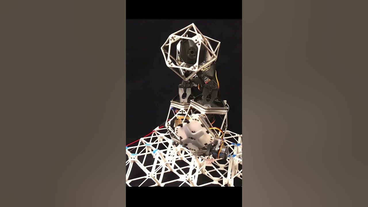 Self Replicating Robot Builder! - YouTube