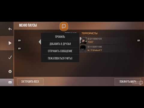 Играем в StangRise