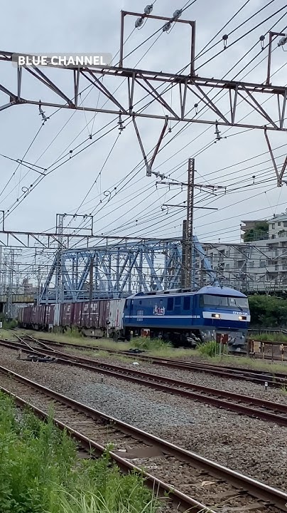 (貨物列車) 2024/09/25 1096レ EF210-134 + コキ24B (名古屋タ〜札幌タ) #Shorts - YouTube