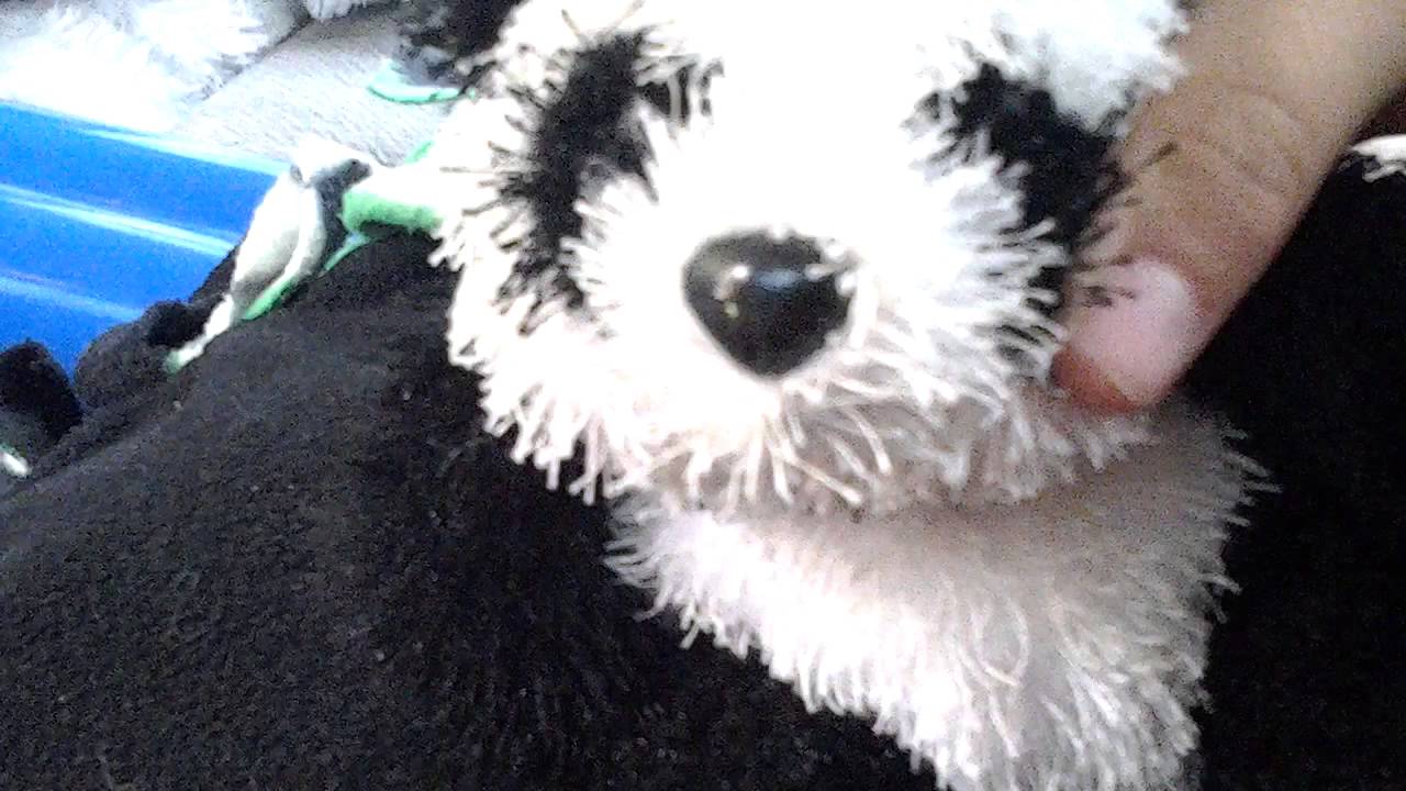 Stuffed panda poops - YouTube