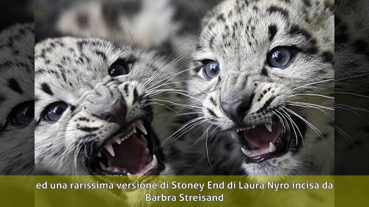 Roberto Arnaldi - Biografia - YouTube