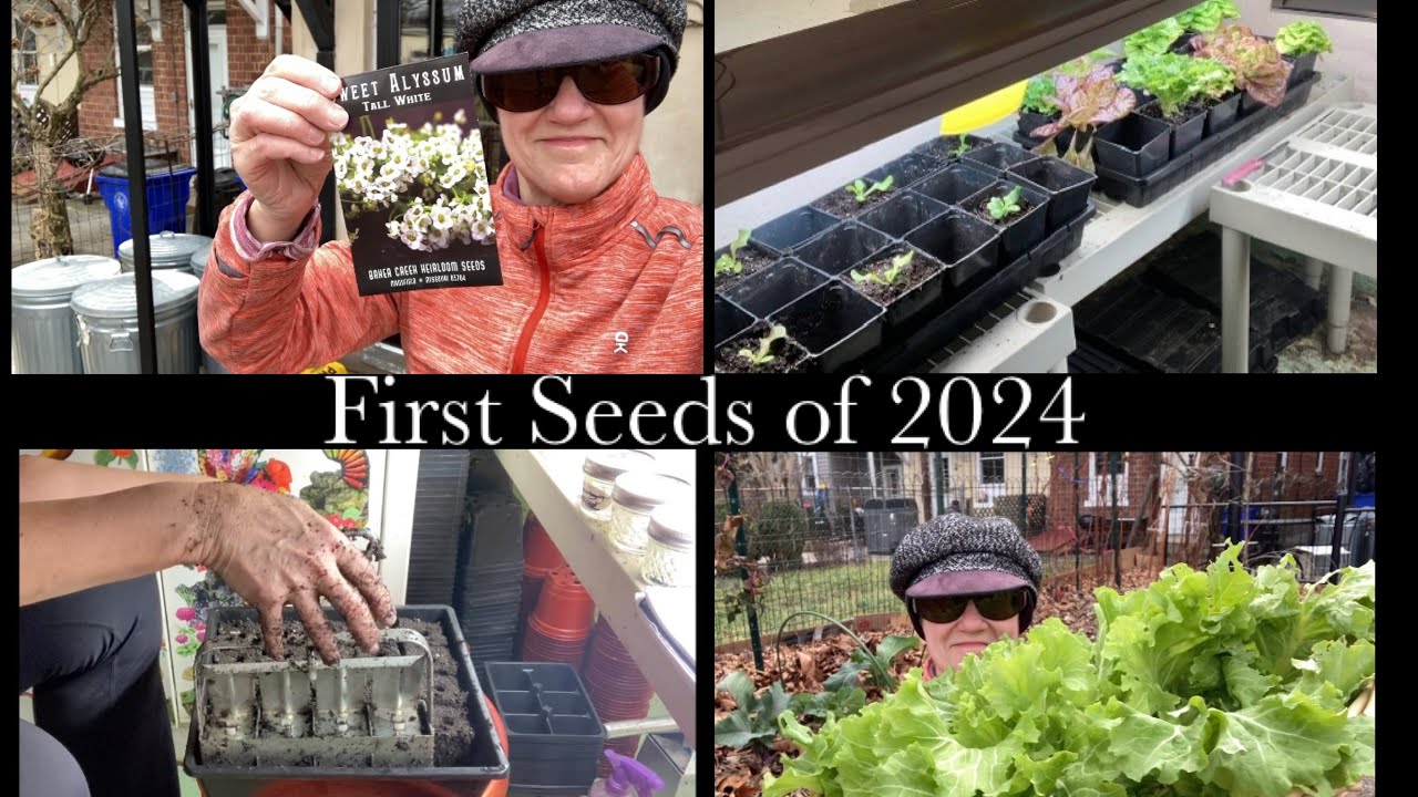 Starting the First Seeds of 2024 | Starting Onion Seeds | Potting Up ...