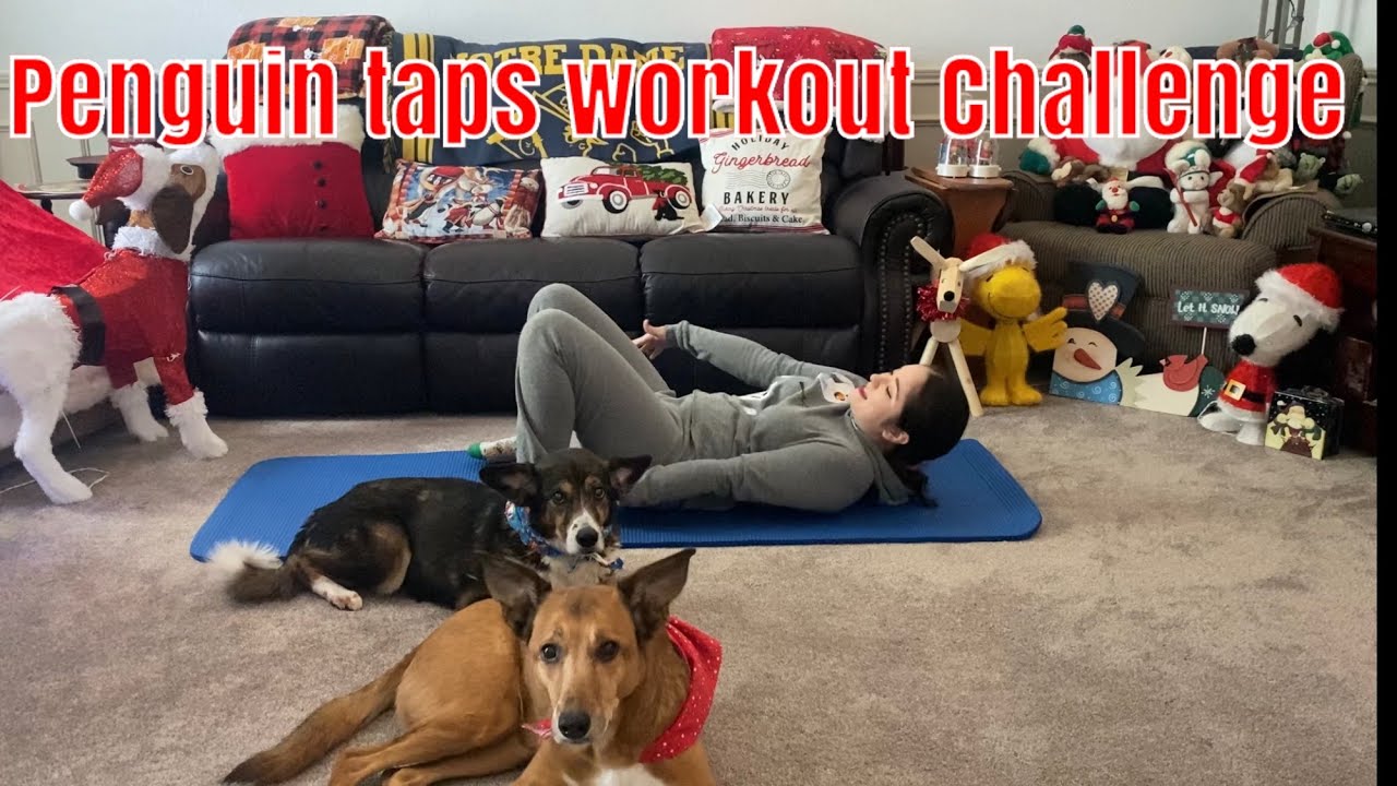 3 Minute Christmas Penguin Taps Workout Challenge - YouTube