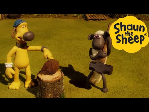 Shaun the Sheep 🐑 COCONUT - Cartoons for Kids 🐑 Full Episodes Compilation [1 hour]