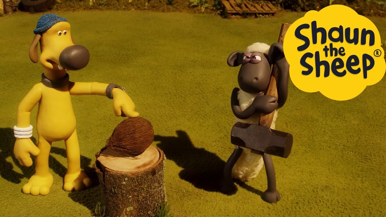 Shaun the Sheep 🐑 COCONUT - Cartoons for Kids 🐑 Full Episodes ...