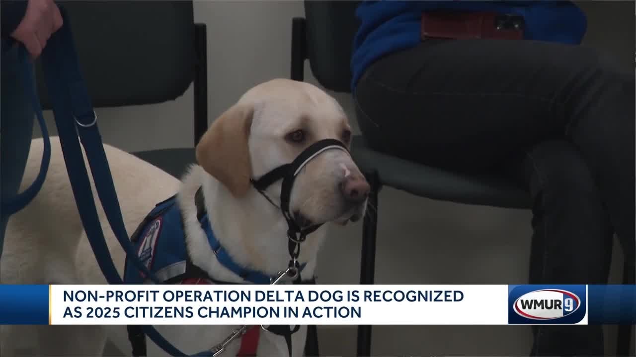 Nonprofit Operation Delta Dog is recognized as 2025 Citizens Champion ...