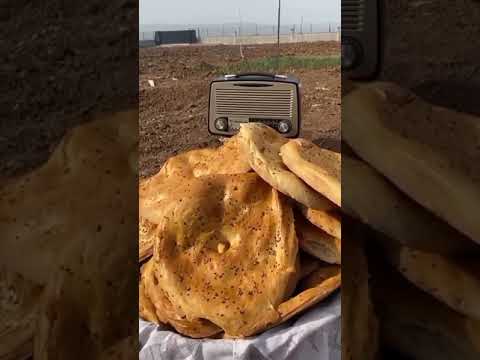 batman Kozluk tarlada tandır ekmeği ve çay