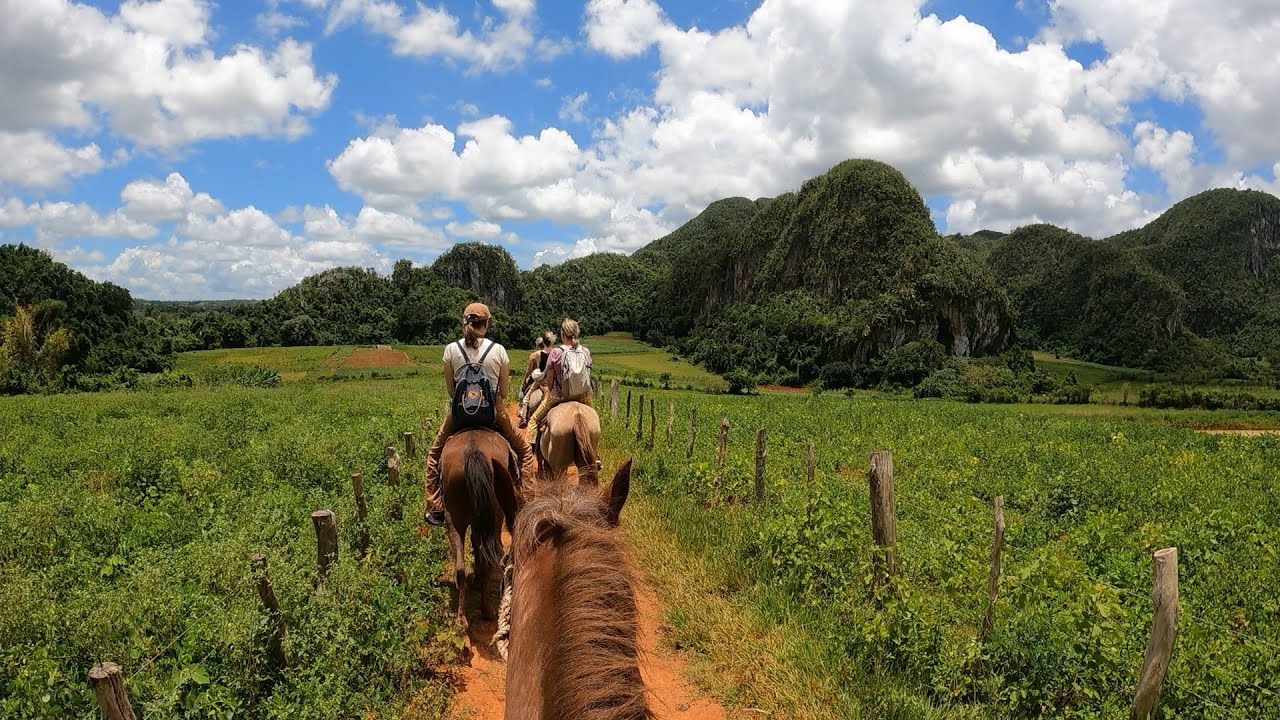 2022 Cuba Vinales: cigars, swimming and horseback riding - YouTube