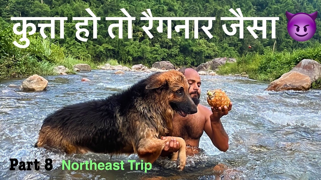 Finally Ragnar reached Arunachal | part 8 | Northeast Trip with pet dog ...