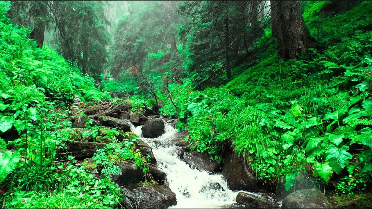 Beautiful Nature and Mountain River Flowing Sounds, - YouTube