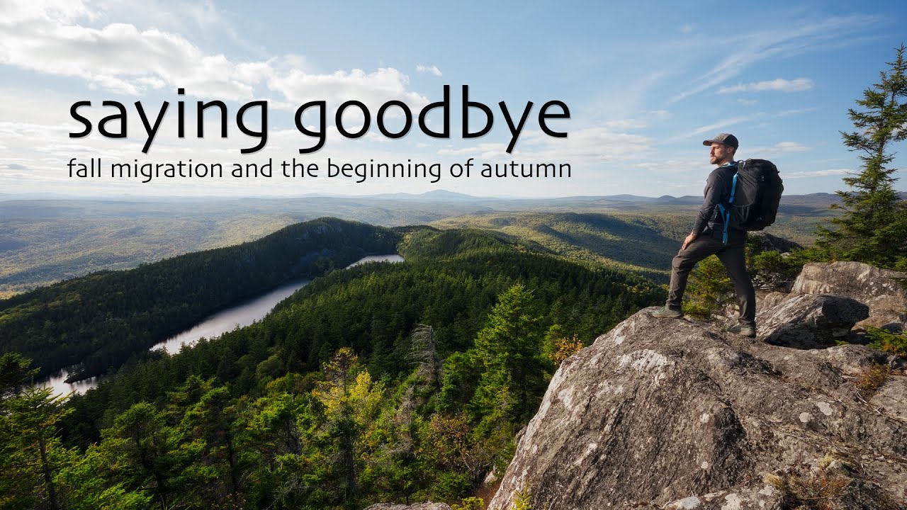 Saying Goodbye || Maine Nature Photography - YouTube