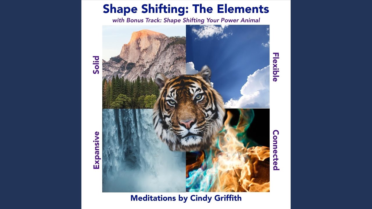 Introduction to Power Animals - YouTube