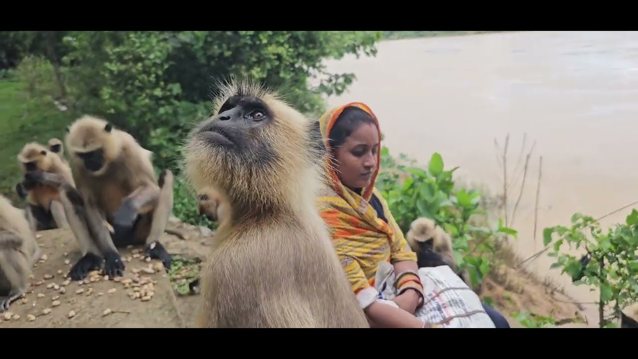 An animal lover can better understand the language of speechless ...