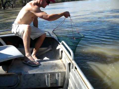Yabbying in Mildura 3 - YouTube